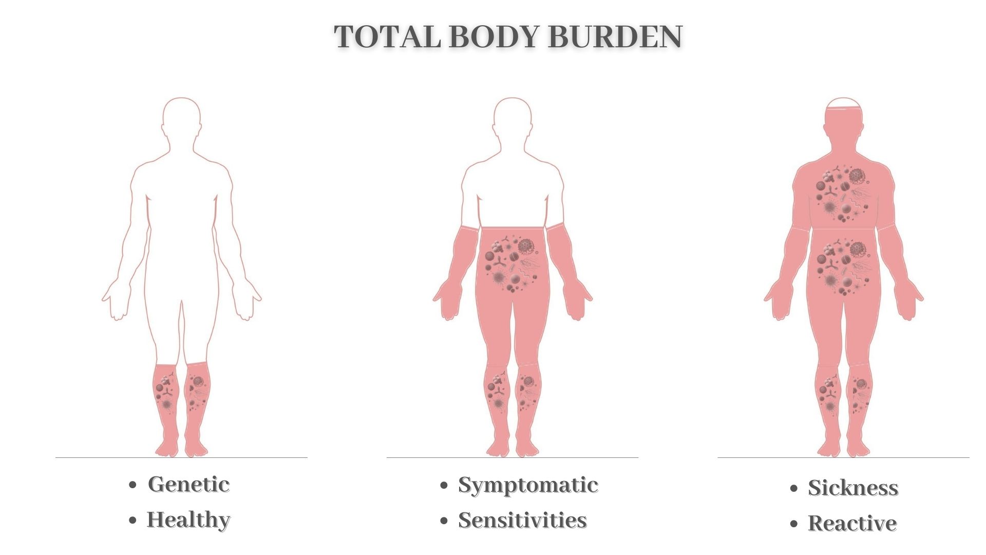 Total Body Burden And What it Has Do with Insomnia and Chronic Illness ...